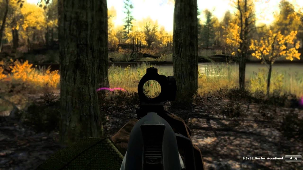 The Hunter Aim Point Vs Hogs - YouTube