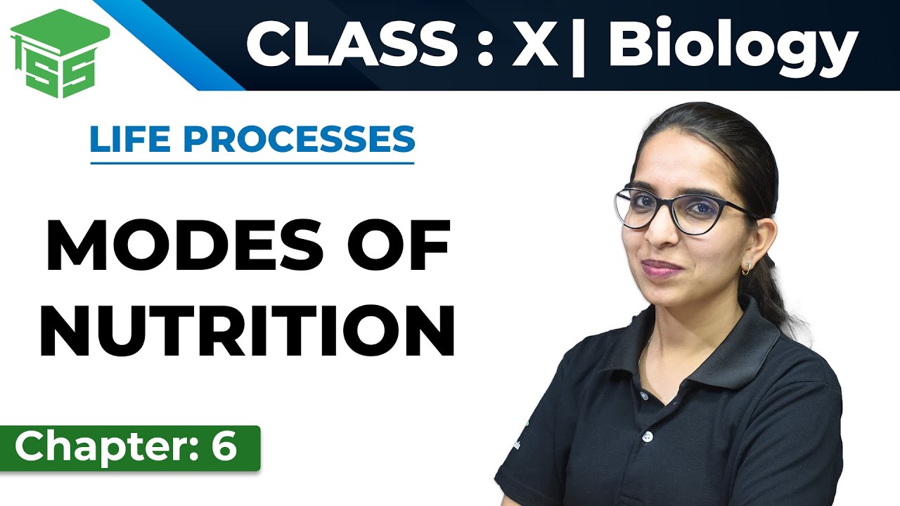 Class 10th Biology | Chapter - 6 | Life Processes - Modes of Nutrition ...