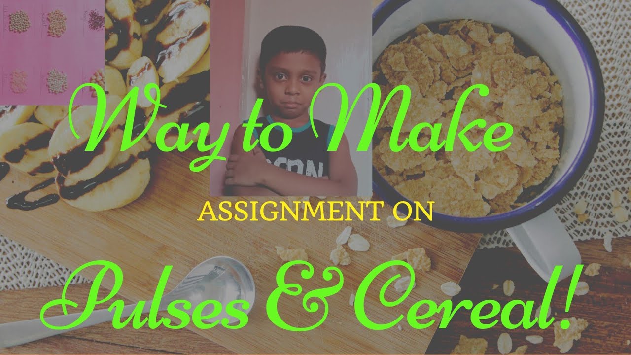 Assignment on Pulses & Cereals / Kids Assignment on Pulses - YouTube