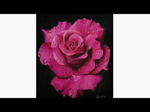Realistic Rose drawing with water drops/ How to draw a Rose / time ...