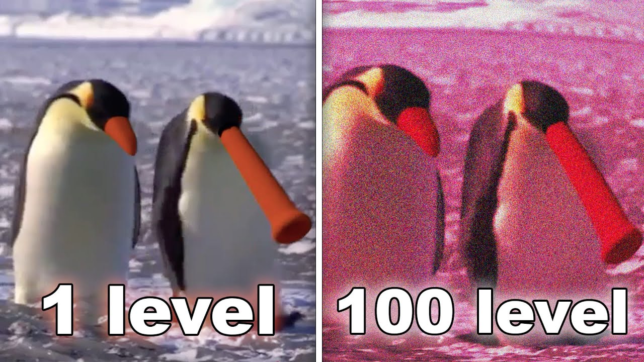 NOOT NOOT! - Pingu in Real Life 100 LEVELS BASS BOOSTED - YouTube