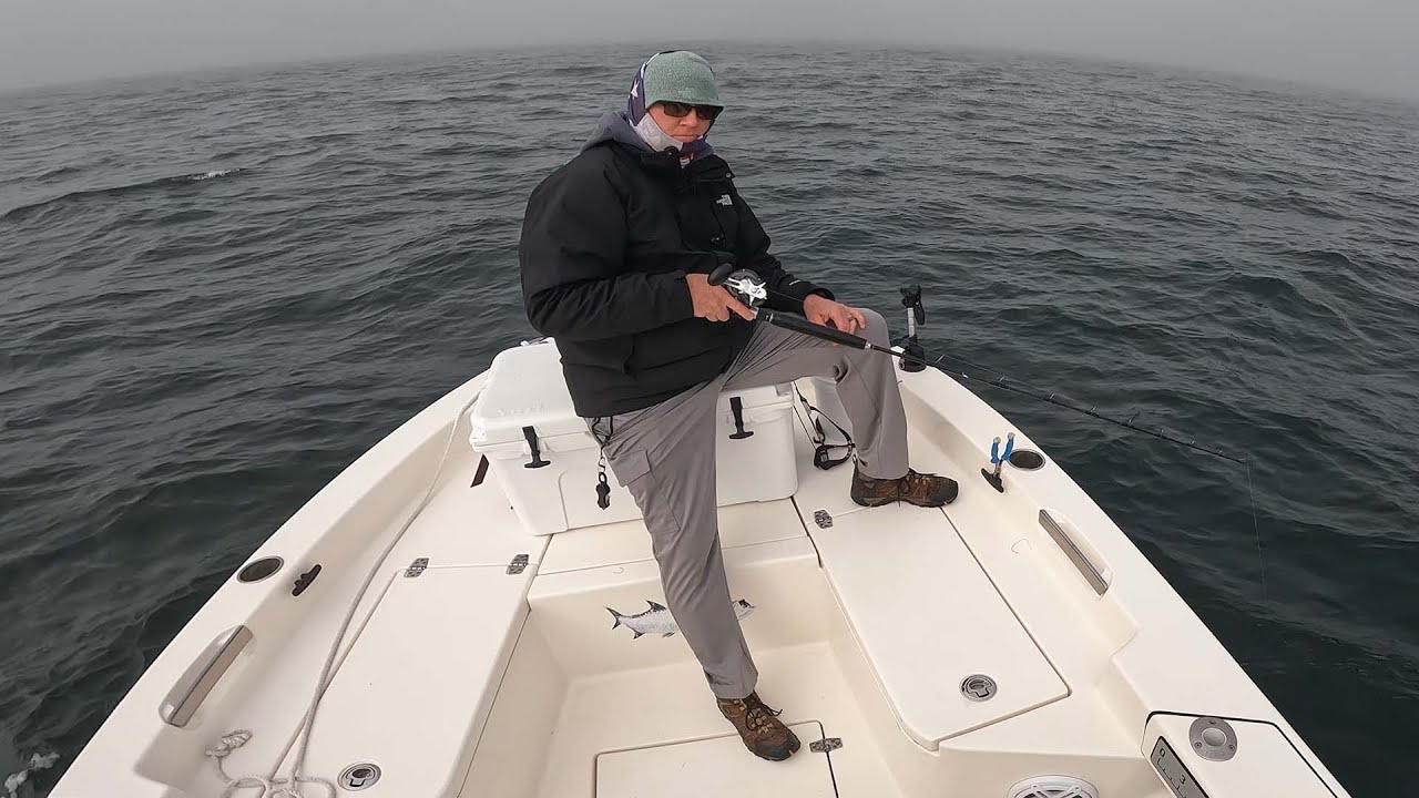 I put a camera on my fishing line and sent it down to a reef off Ponce ...