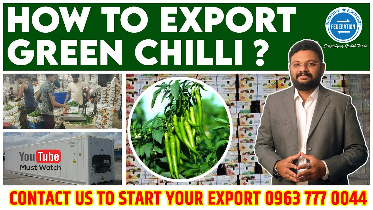 How to export Green Chilli to Dubai? How to start vegetable export ...