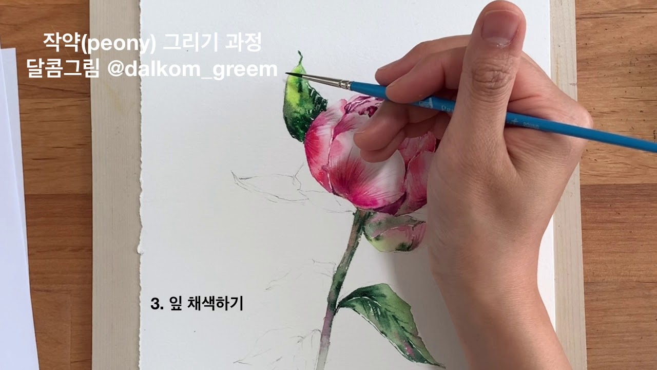작약 수채화 그리기 달콤그림 Part3 Youtube