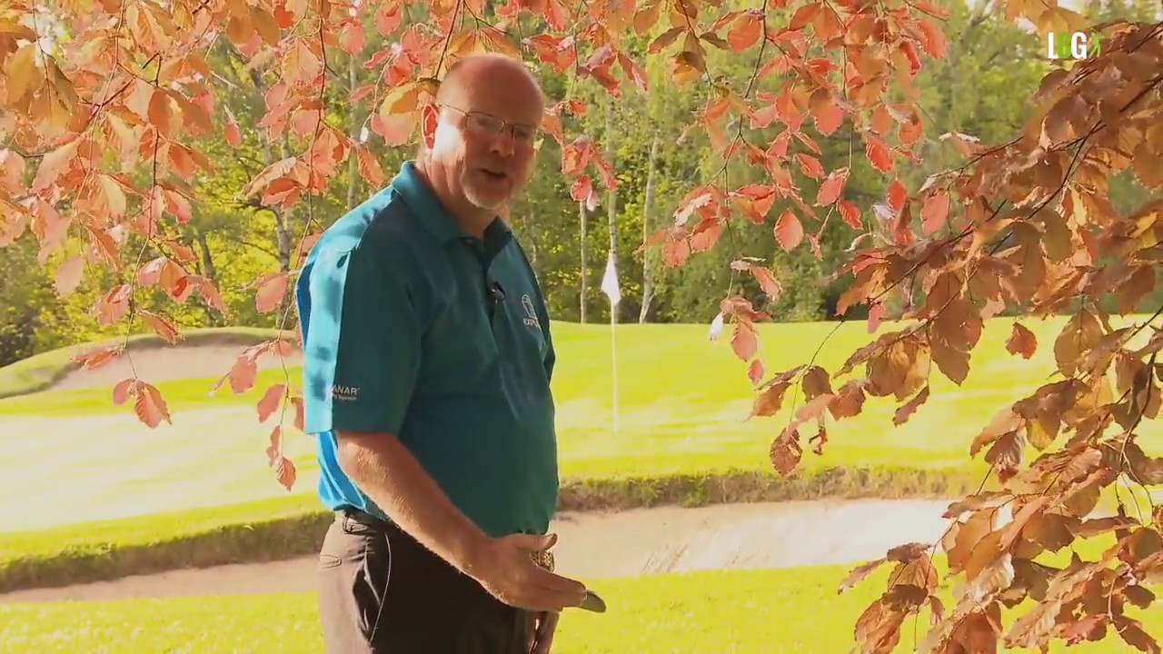 How To Hit a Low shot under trees - YouTube