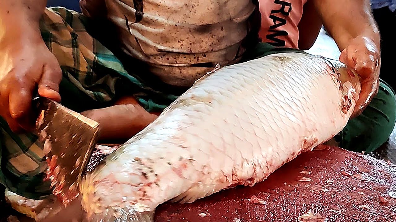 Amazing Fish Cutting Skills | Fastest Grass Carp Fish Cutting In Fish ...