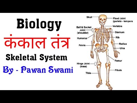 Skeletal system by pawan swami | biology class daily by pawan swami ...