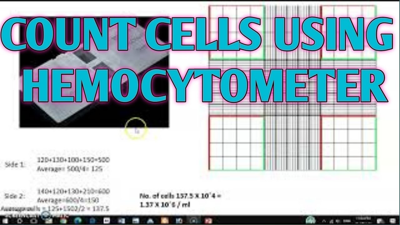 counting cells using Hemocytometer ll Xgene and ProteinX - YouTube