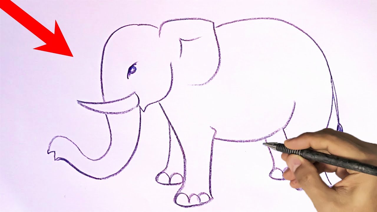 how to draw elephant easy drawing @hiyarudro - YouTube