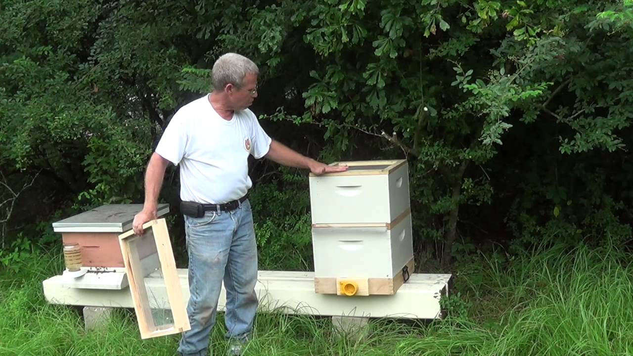 Mr. Ed and the bee vac - YouTube