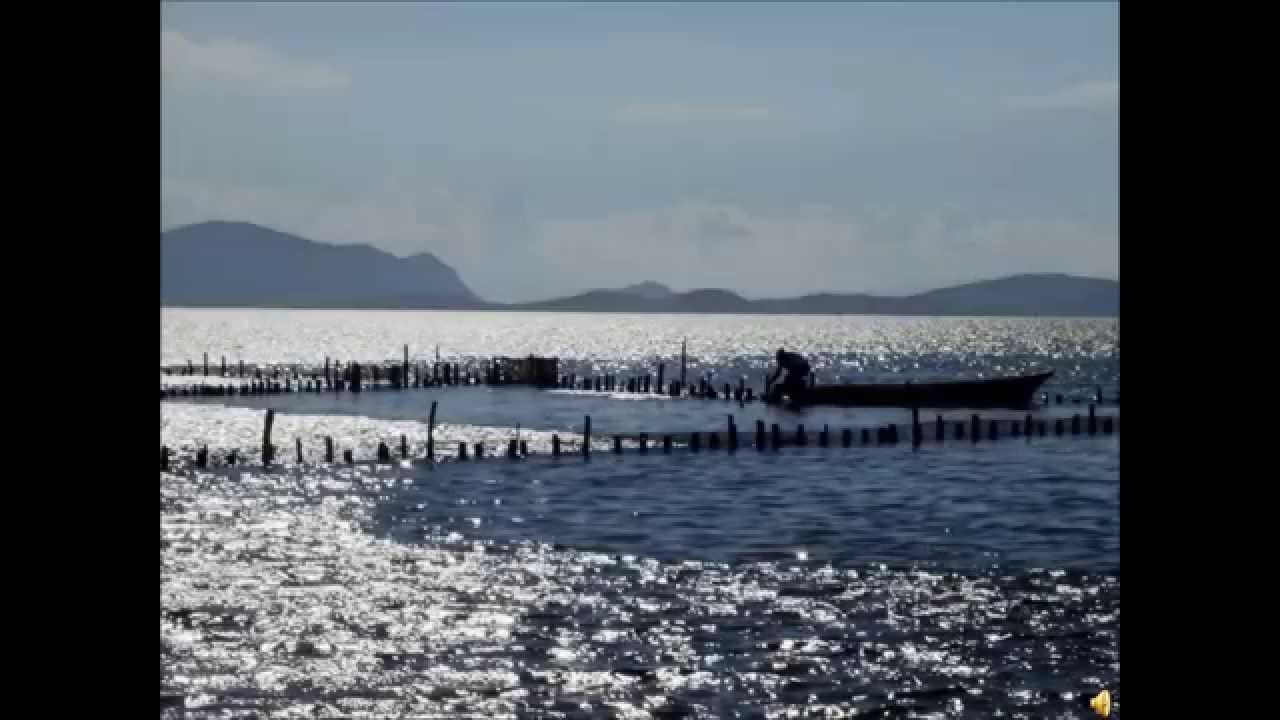 4 ημέρες στη λιμνοθάλασσα Μεσολογγίου-Αιτωλικού - YouTube