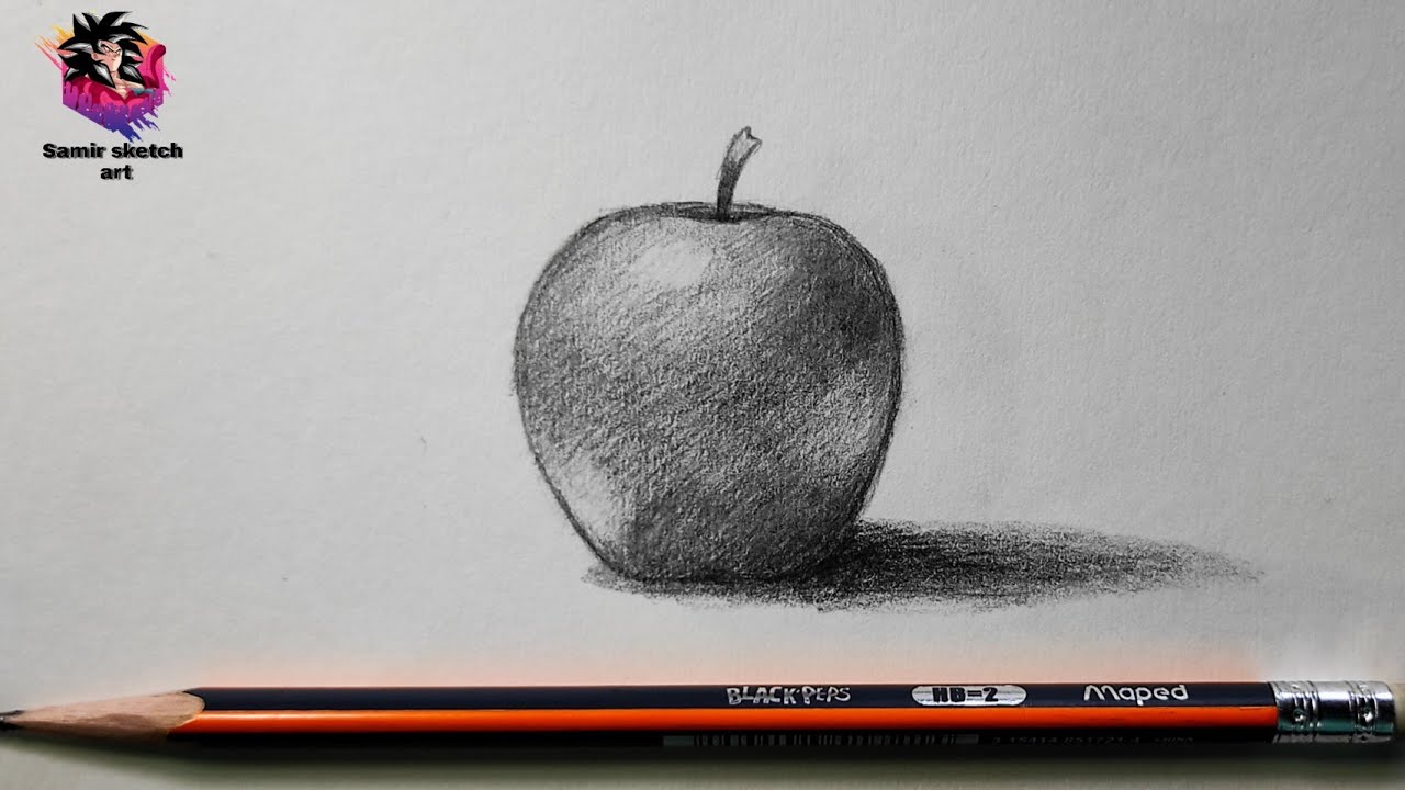 Apple drawing for beginners // shading by normal pencil // HB pencil ...