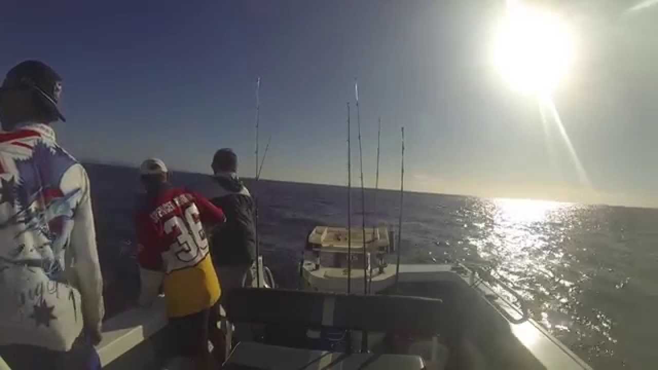 Fishing South West Rocks - YouTube