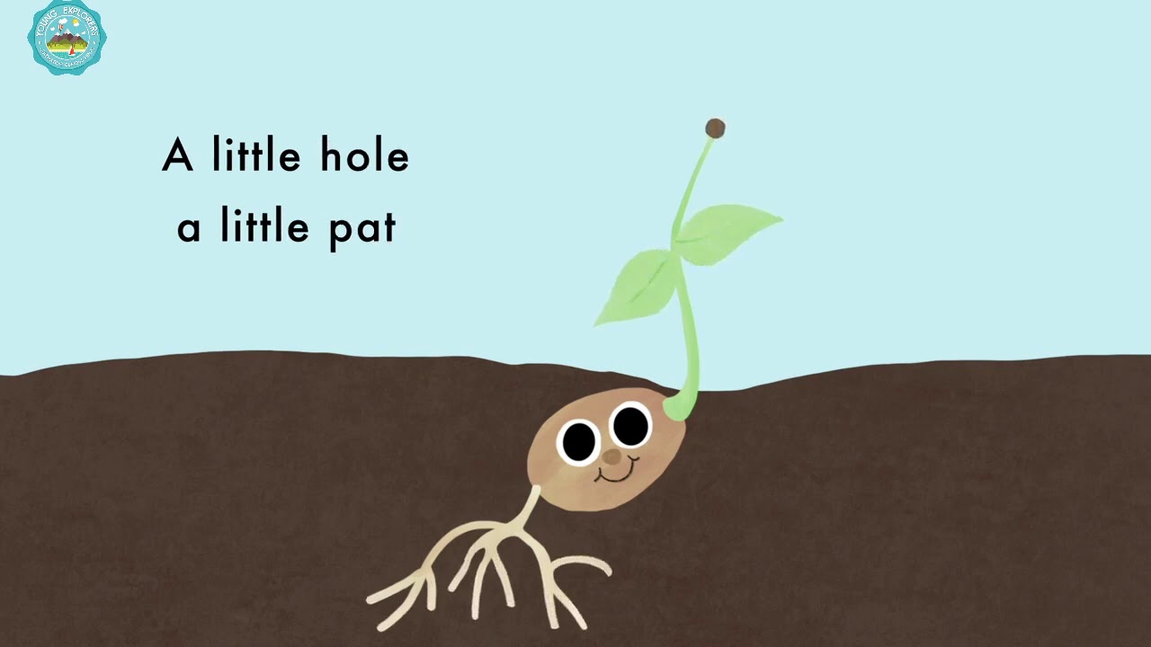 A Little Seed - YouTube