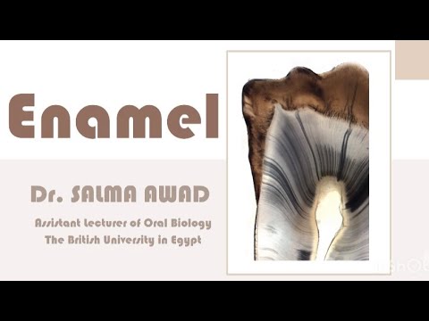 Enamel Drawing - YouTube