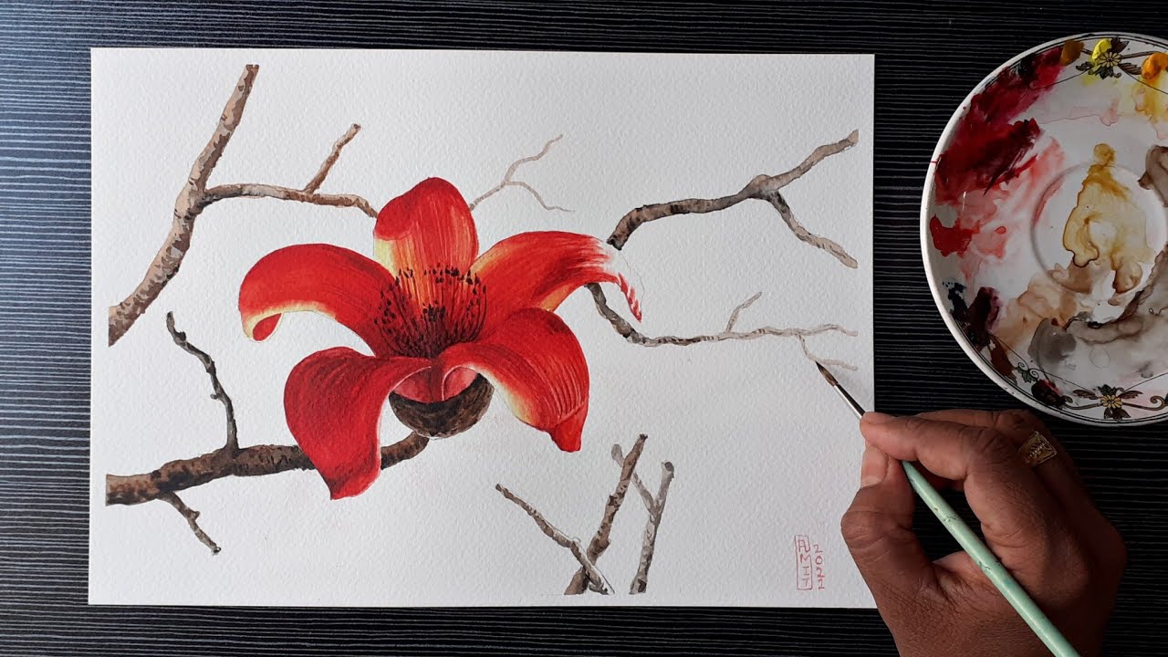 Bengali shimul ful drawing. watercolor. Bombax ceiba. West bengal ...
