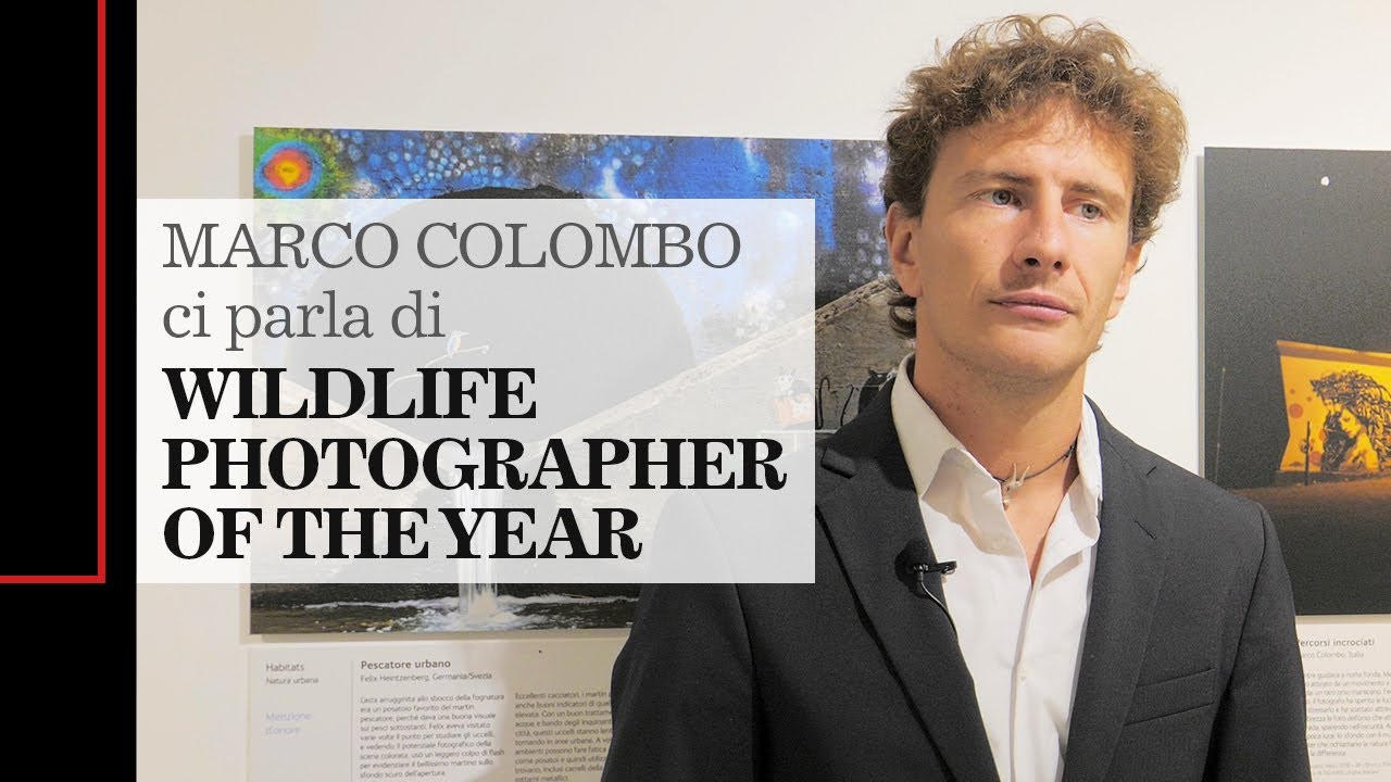Wildlife Photographer of the Year: Marco Colombo - YouTube