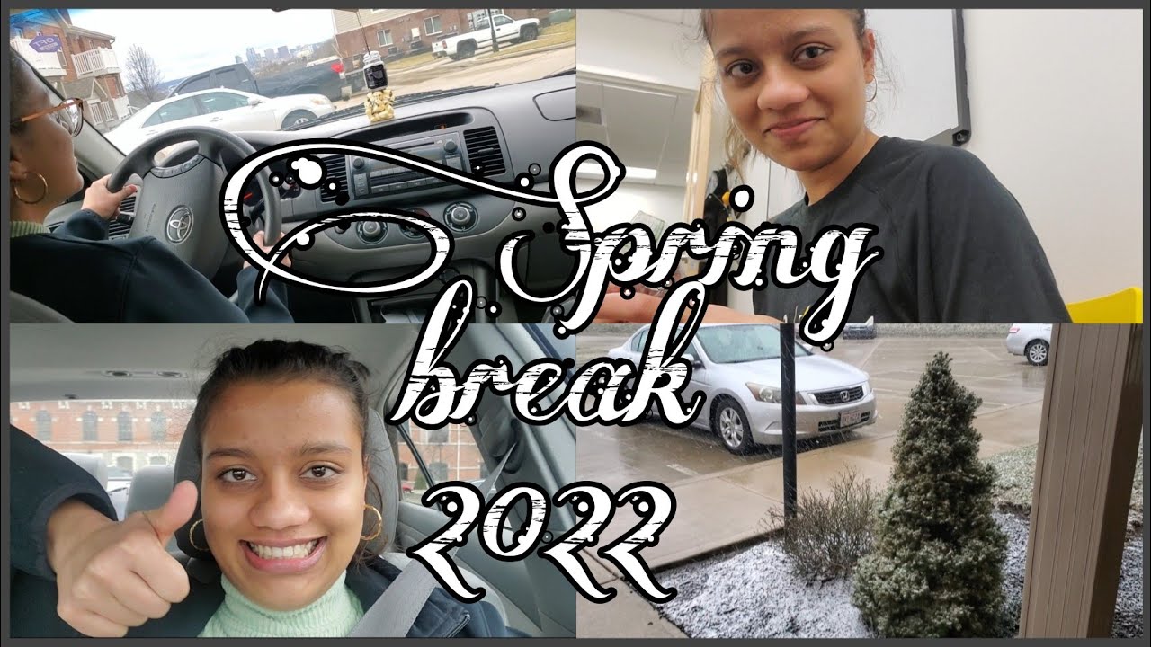 Spring break edition| work, study, all-nighter, driver permit, life ...