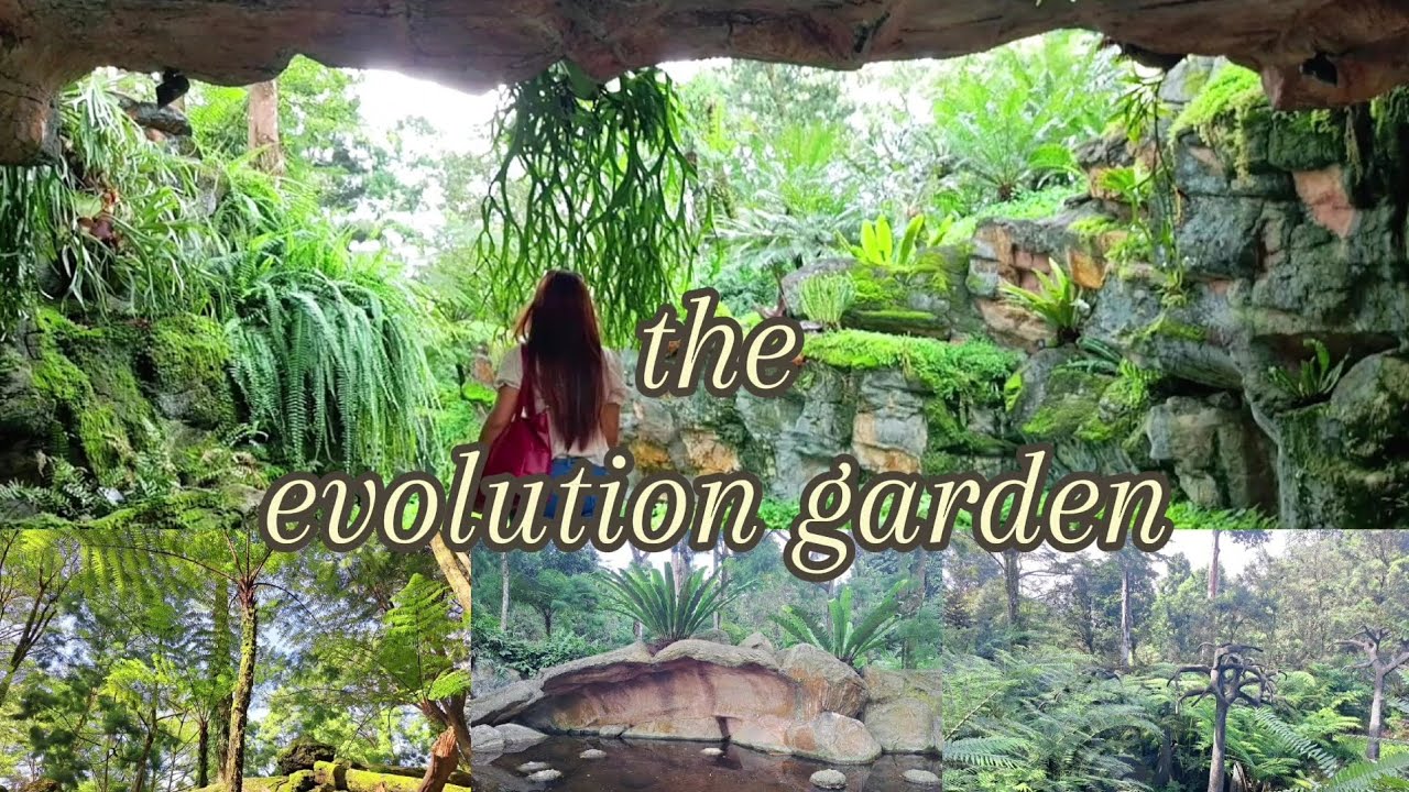 the evolution garden @botanic garden Singapore 🇸🇬 - YouTube