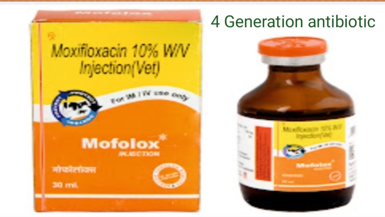 Mofolox injection:- थनैला, निमोनिया! - YouTube