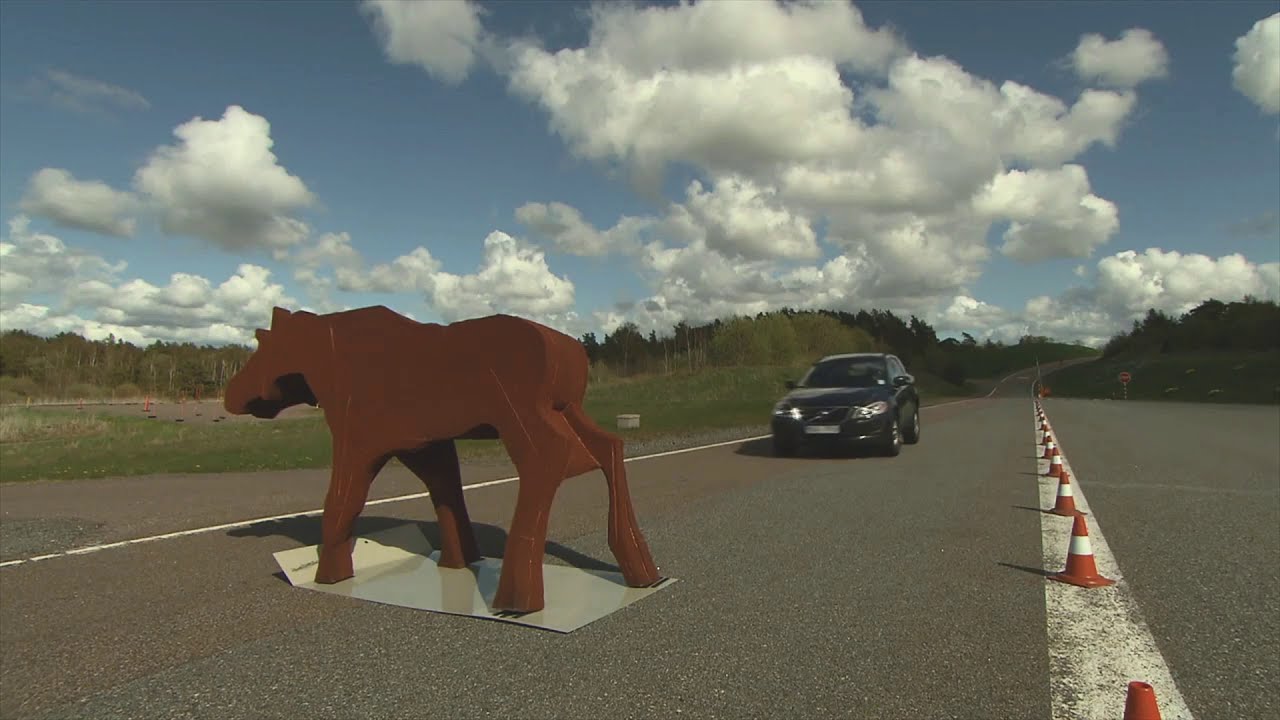 Volvo Cars New Brunswick | Large Animal Detection Safety Test - YouTube