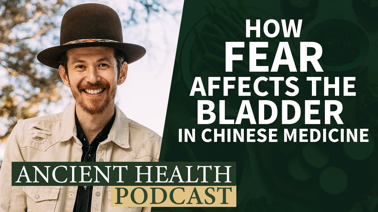 How Fear Affects the Kidneys and Bladder in Chinese Medicine - YouTube