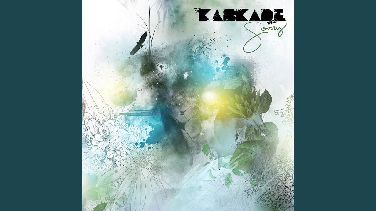 Sorry (Members Only Dub) - YouTube