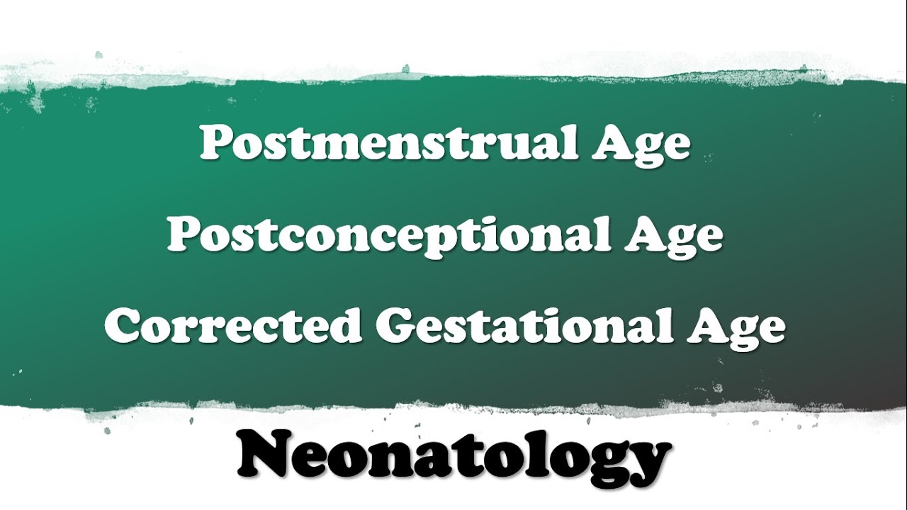 Neonatology Concepts | Postmenstrual age, corrected GA - YouTube