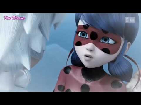 Miraculous chat blanc | Impossible
