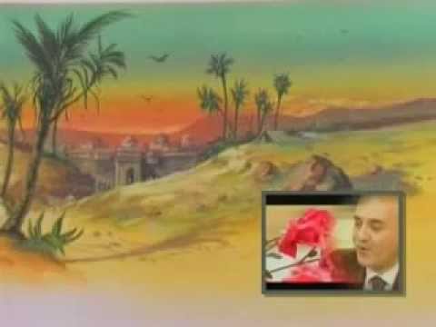 Nihat Hatipoğlu - Hz.Ali ve İlim