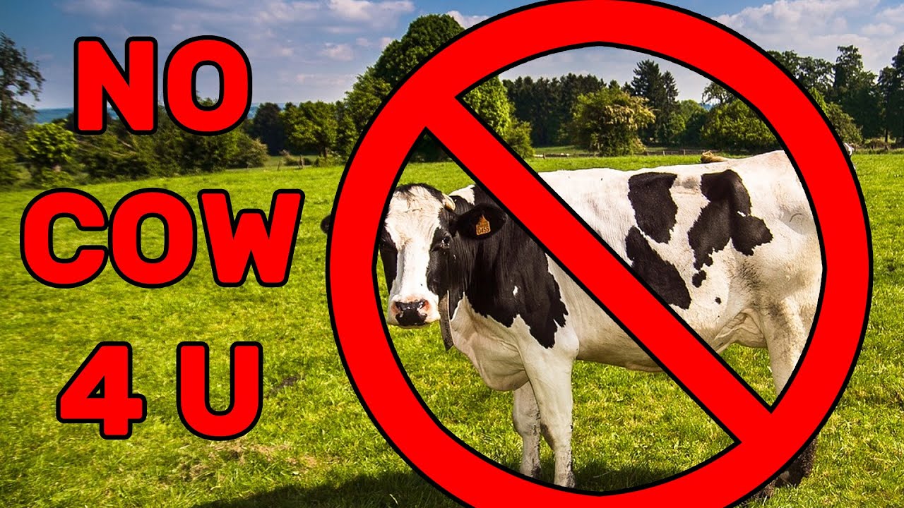 WOTC Reveals Promotional Cows But You Can't Get Them - YouTube