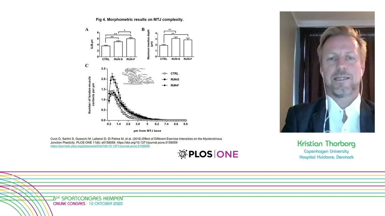 "Prevention and Rehabilitation of Hamstring and Groin Injuries in ...
