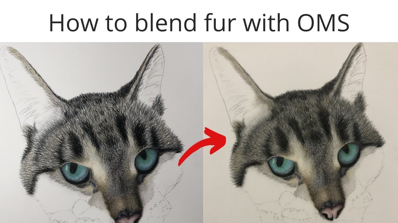 HOW TO BLEND FUR EASY TUTORIAL | How to blend Colored Pencils With ...