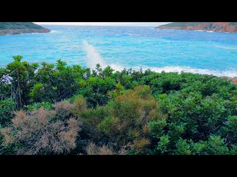 4K- Deniz Kıyı Görüntüleri - Eşsiz Dalga Videoları - Rüzgarın Dans Eden Eseri: Dalgalar