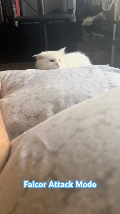 Falcor Attack Mode Activated - YouTube