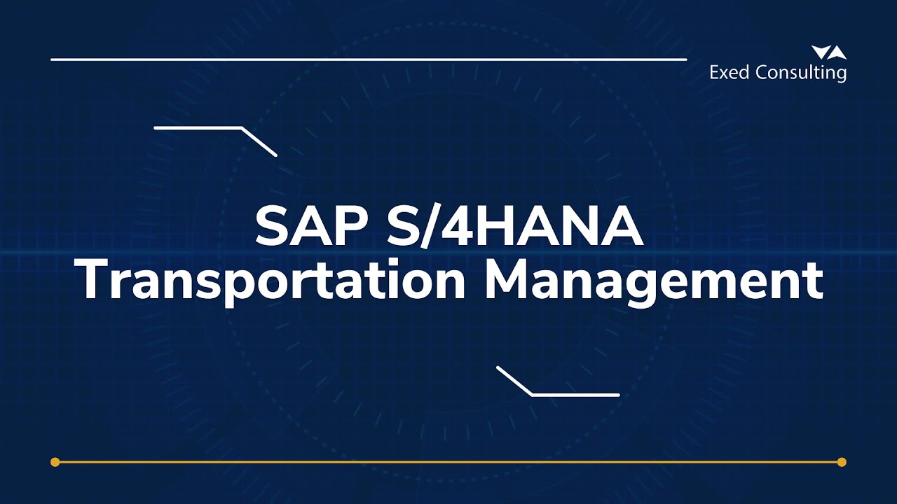SAP TM - Exed Consulting PT-BR - YouTube