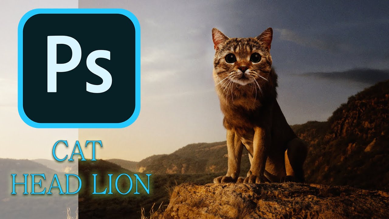 Cat - Photo Manipulation Tutorial - YouTube