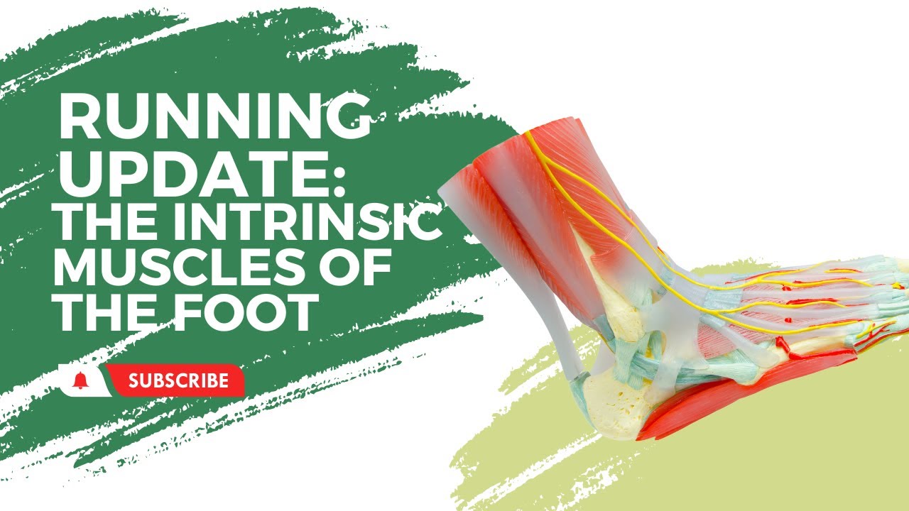 The importance of foot intrinsic muscles in runners - YouTube