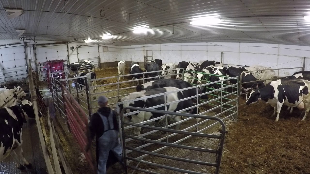 Modified "bud box" set up on trim day - YouTube