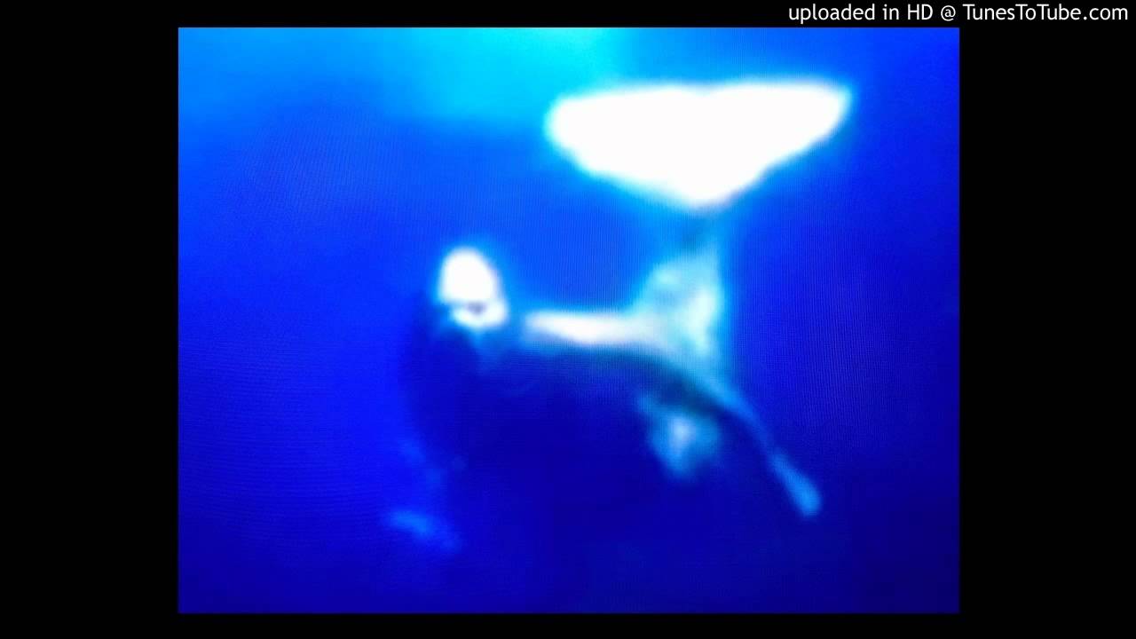 mermaids 2014 proof mako iland sick photo - YouTube