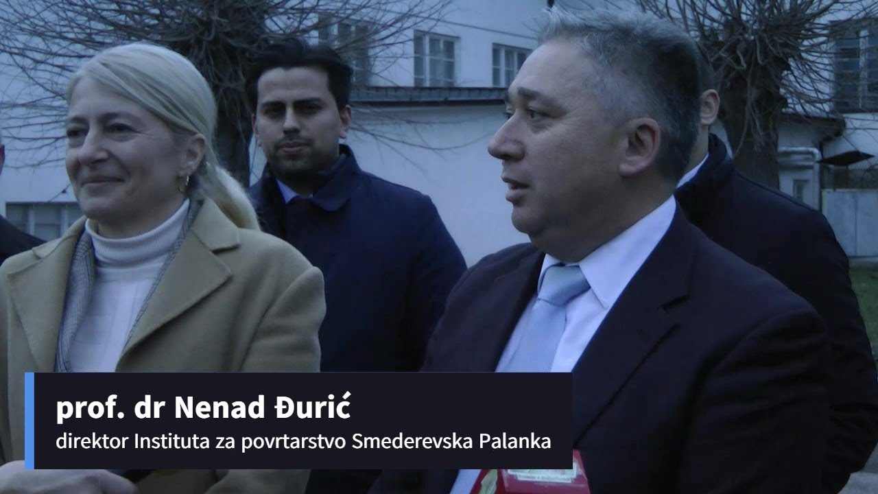 Izjava direktora prof. dr Nenada Đurića tokom posete ministra dr Jelene ...