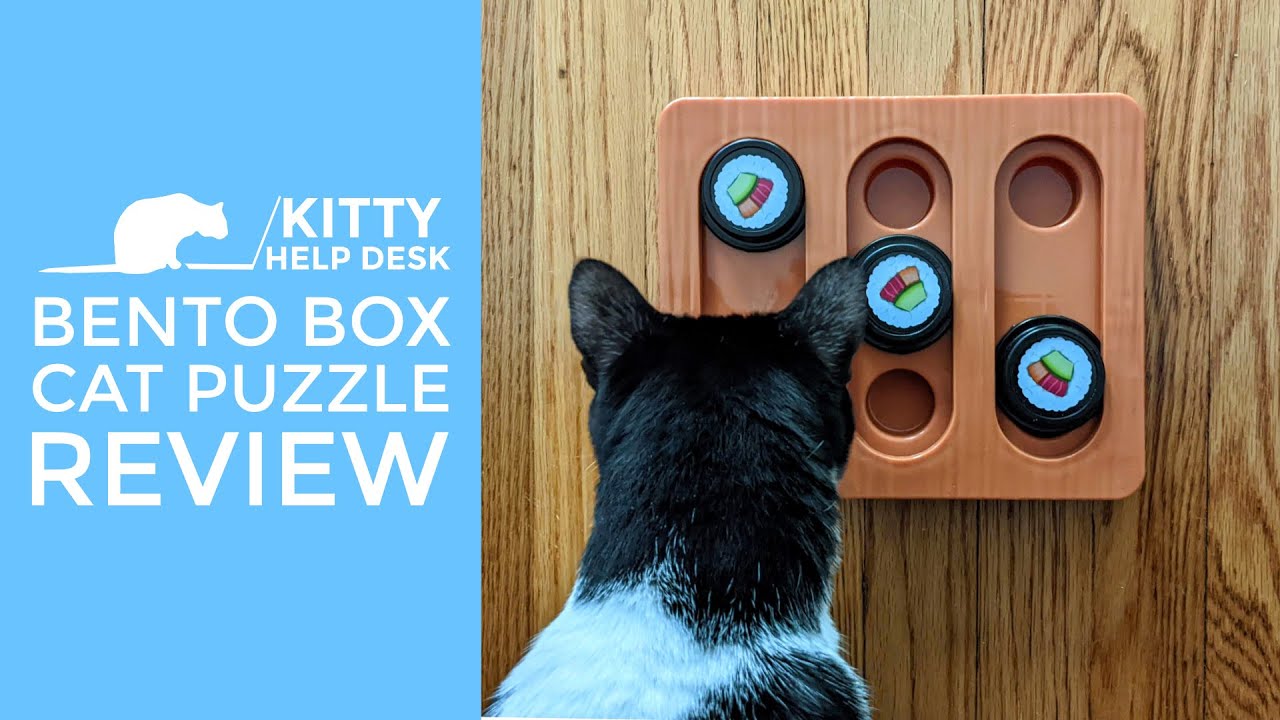 Bento Box Cat Puzzle Review - YouTube