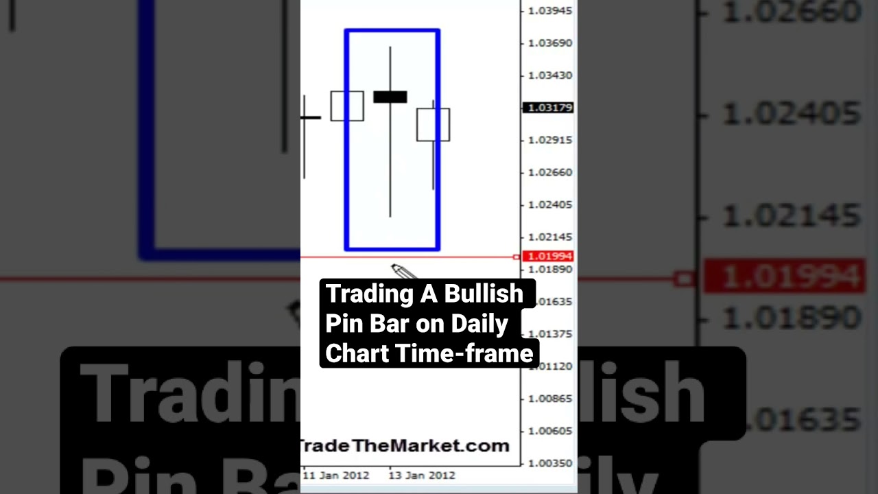Bullish Pin Bar on Daily Time-frame - YouTube