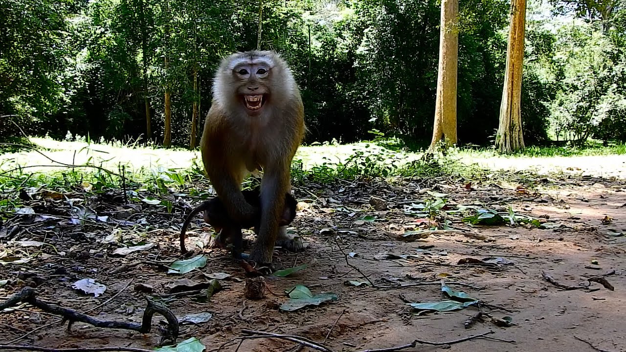 MOMMA ROSE GET SCARED BUT SO HUNGRY NEED GET FOOD - YouTube