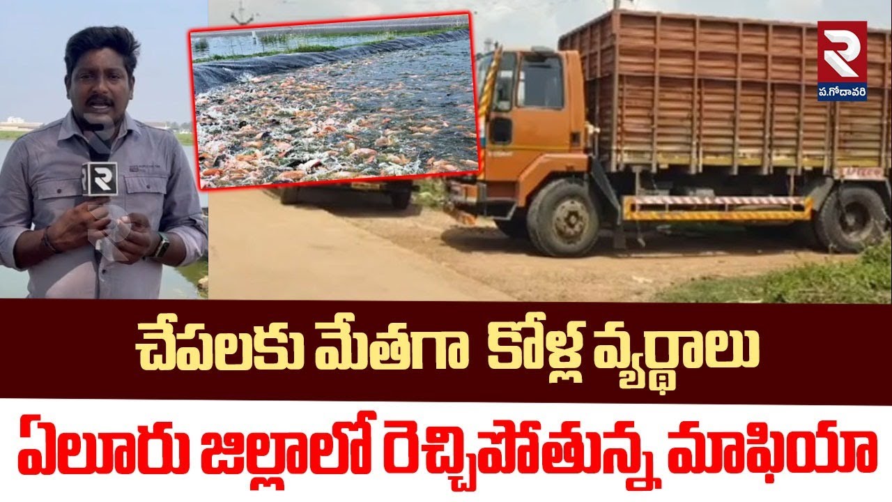 Chicken Waste To Fish Food | చేపలకు మేతగా కోళ్ల వ్యర్థాలు ఏలూరు ...