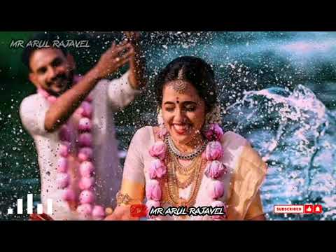 💕 Ale Ale song Lyrics| sweet Love Song 💕|Tamil Whatsapp Status Lyrics ...