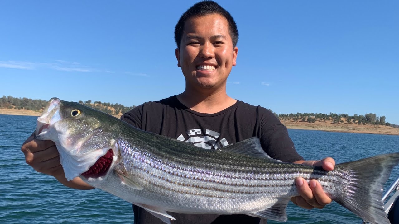Super Spook Striper Fishing Tips and Tricks - YouTube