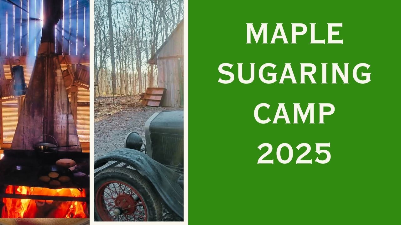 1920s Maple Sugaring Camp 2025 Review Old Fashioned Fun and Maple Syrup! - YouTube
