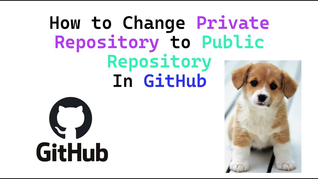 How to Change Private Repository to Public Repository In GitHub | Puppy ...