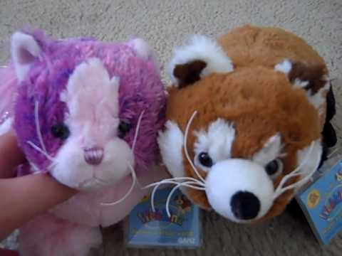 My Webkinz POM POM KITTY AND RED PANDA!!! FIRST ON YT - YouTube